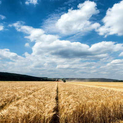 Trilha de assistência técnica e extensão rural para Uds